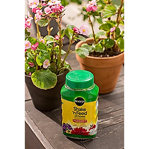 Miracle-Gro Shake 'n Feed All Purpose Continuous Release Plant Food, 1-Pound (Slow Release Plant Fertilizer)