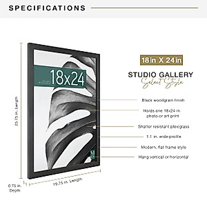 MCS Studio Gallery 18x24 Poster Frame Black Woodgrain, Vertical & Horizontal Wall Hanging Large Picture Frame for Photos, Posters & Art Prints (1-Pack)