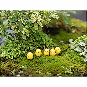 DoTebpa 22Pcs Miniature Family Chicken,Cock,Hen,Egg,Chicken Nest Ornament Micro Landscape Fairy Garden Décor