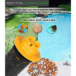 Replacement for Nature2 Duoclear 25 Mineral Cartridge W28000 for All Zodiac DuoClear Fusion Soft Vision Pro Above Ground Ingroud Pool Sanitizers, for up to 35,000 Gallons Pool, W26000, 50001800