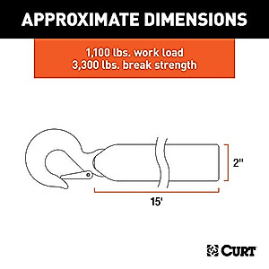 CURT 29450 2-Inch x 15-Foot Nylon Winch Strap with Hook, 3,300 lbs , Black