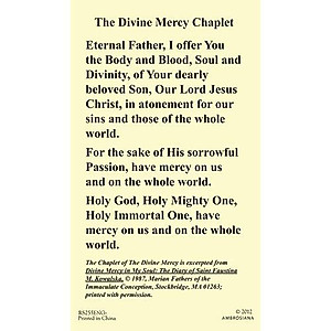 Divine Mercy of Jesus Holy Card with divine mercy chaplet on the back (10 pack)