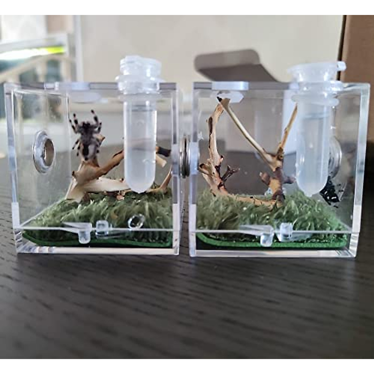 AWXZOM Spider Terrarium, Acrylic Reptile Breeding Box Jumping Spider Enclosure with Dropper Tongs Snail cage, Cricket Enclosure arboreal Tarantula Habitat