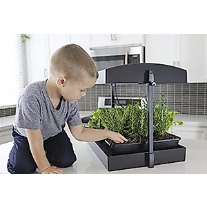 SunBlaster LED Indoor Growlight Garden, Home Growing Kit