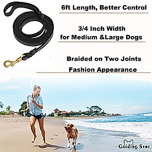 Guiding Star Black Leather Dog Leash 6ft, Soft Durable Genuine Handmade Braided Leather Dog Lead, Heavy Duty Strong Dog Training Walking Dog Leash Leather for Large & Medium Dogs