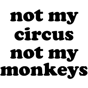 CafePress Not My Circus Not My Monkeys Magnets Rectangle Magnet, 3"x2" Refrigerator Magnet