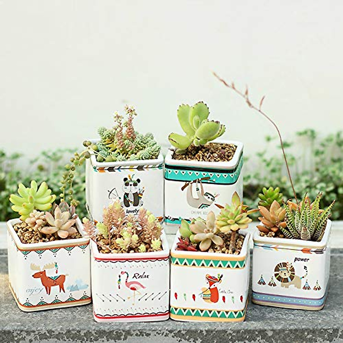 Zamtac Set of 6 Cartoon Animal Painting Planters Ceramic Succulent Plant Pot Porcelain Desktop Bonsai Planter Flamingo Panda Fox
