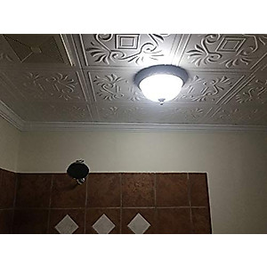 A la Maison Ceilings R159 Cockatoos Foam Glue-up Ceiling Tile (256 sq. ft./Case), Pack of 96, Plain White