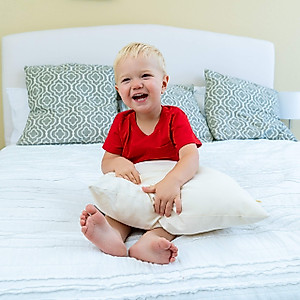 Sleep Artisan Organic Toddler Pillow - Machine Washable Organic Cotton Cover with Safe Toxic-Free Fill, Kids Small Toddler Pillow for Travel & Napping, Handmade in USA, 13" x 18"