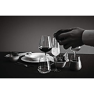 Bormioli Rocco InAlto Uno Stemless Glass, Set of 6, 15.25 oz, Clear