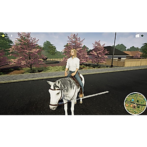 My Life: Pet Vet (PlayStation 4)