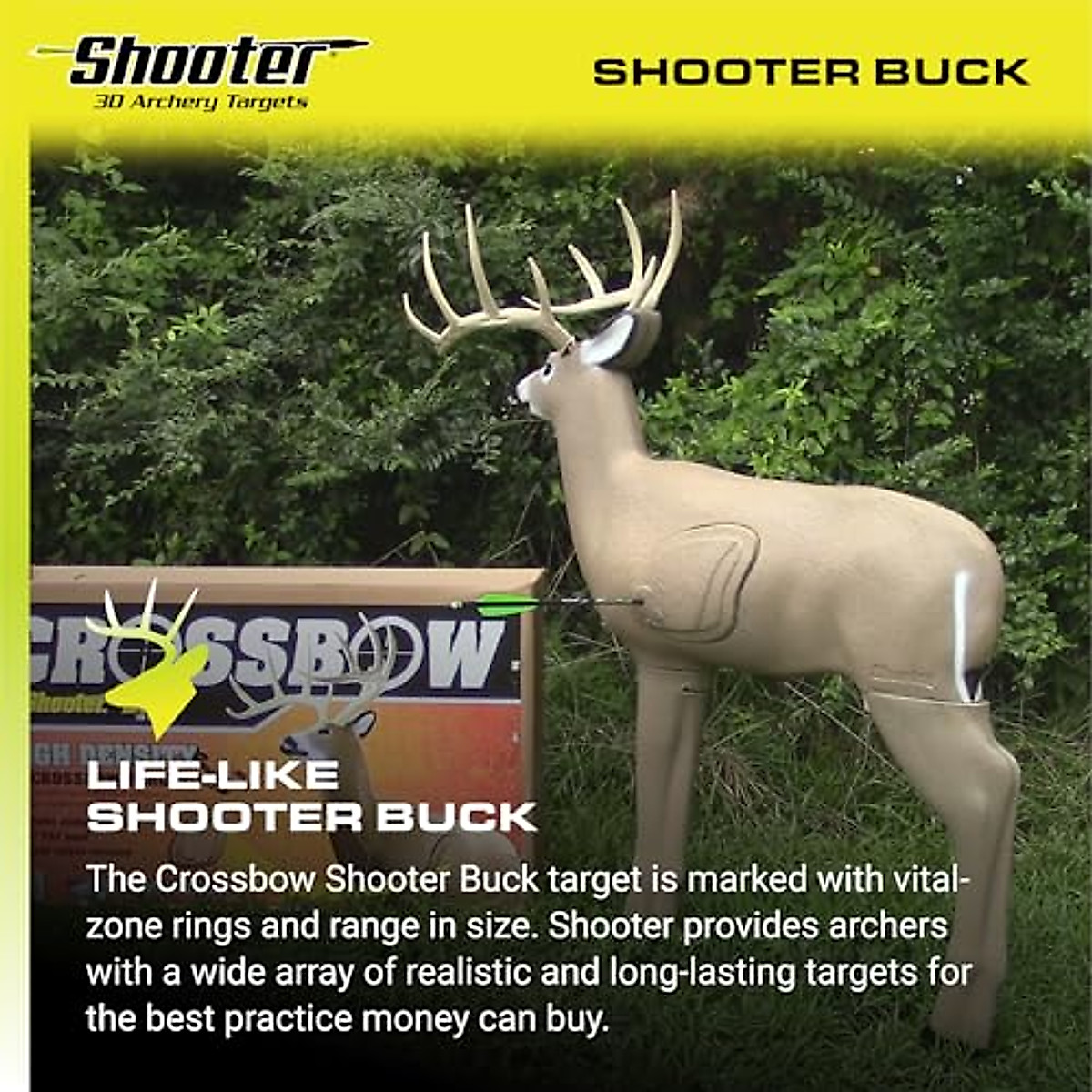 Big Shooter Crossbow Buck 3D Archery Target with Replaceable Core, Brown
