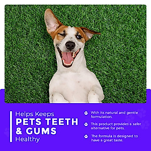 Dale Audrey Ayurvedic Brushing Treatment for Pets | Oral Hygiene Bad Breath Eliminator | Dog Breath Freshener for Teeth Cleaning | Tartar and Plaque Remover Dog Mouth Spray | (Beef)