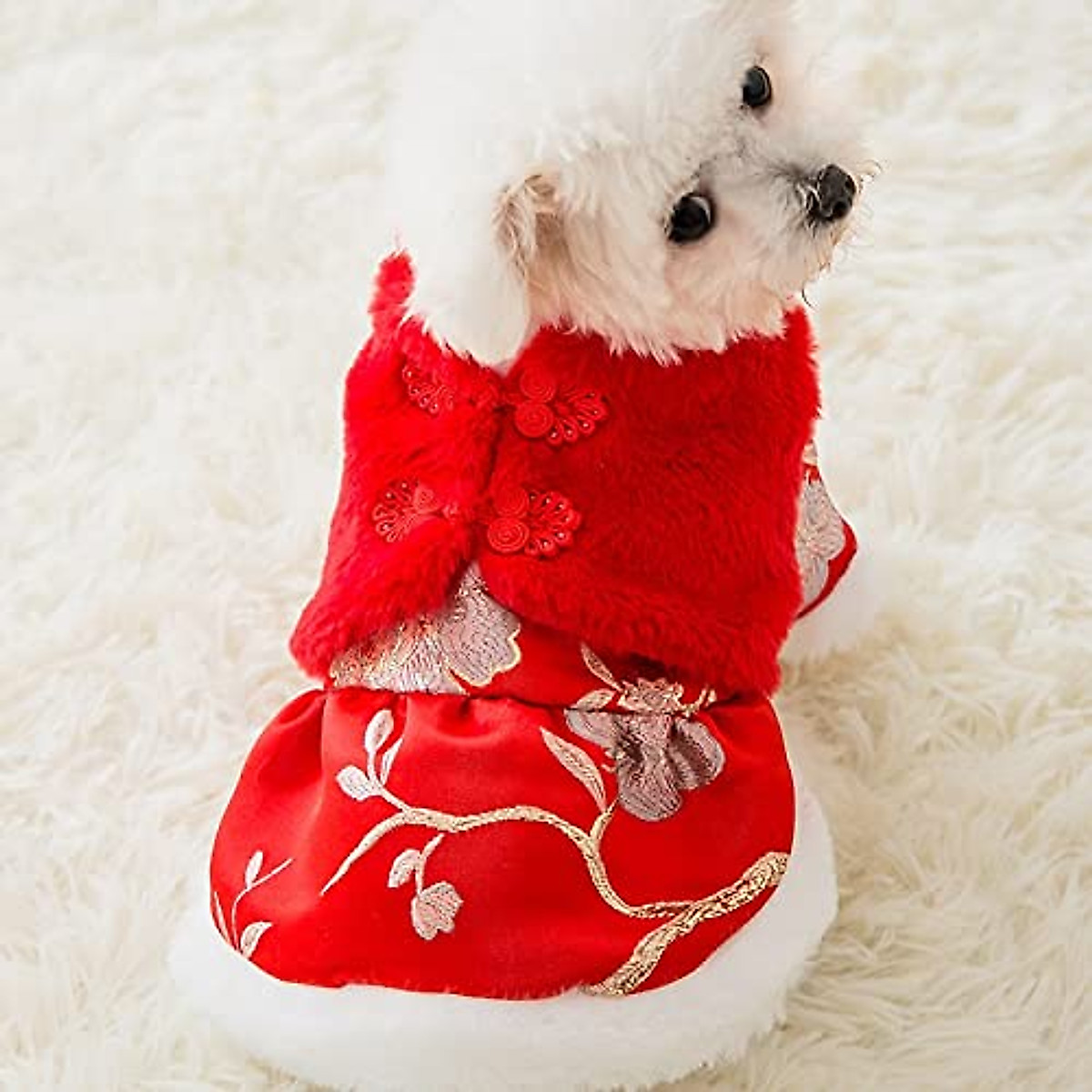 JYDQM Tang Suit Coat Dog Clothes Jacket for Dogs Clothing Pet Outfits Small Cute Winter Warm (Color : Red, Size : M Code)