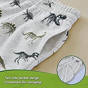 WAWSAM Dinosaur Boy Pants - Dino Jogger Sweatpants Cotton Pull on Pants for Toddler Boys Dinosaur Jogger Athletic Trousers Gray Loose Baby Elastic Waist Bottoms