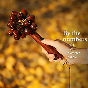 Meinl Sonic Energy Seed Shell Shaker Percussion Instrument — Nature Sounds for Meditation, ASMR, Sound Therapy, Yoga