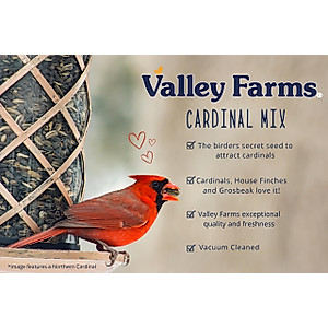 Valley Farms Cardinal Mix Wild Bird Food for Outside Feeders, Cardinal Bird Seed with Black Oil Sunflower Seeds and Safflower Seeds, Attract a Variety of Wild Birds (10 LBS)