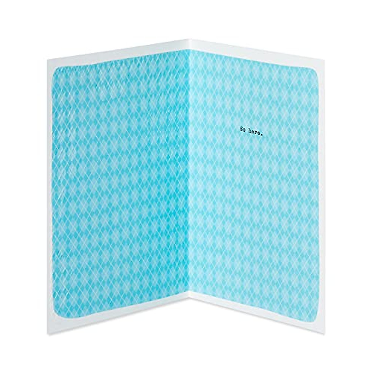 American Greetings Funny Birthday Card (Cat Wearing Argyle Sweater)