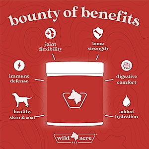 Wild Acre Premium Beef Bone Broth for Dogs – High Protein + Collagen Enhanced with Mushroom Blend for Strong Bones, Joint Flexibility, Digestive Comfort, and Immune Support - Natural Dog Food Topper