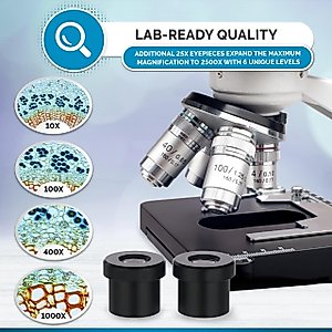 AmScope B120B-WM Siedentopf Binocular Compound Microscope, 40X-2000X Magnification, Brightfield, LED Illumination, Abbe Condenser, Double-Layer Mechanical Stage, Includes Book