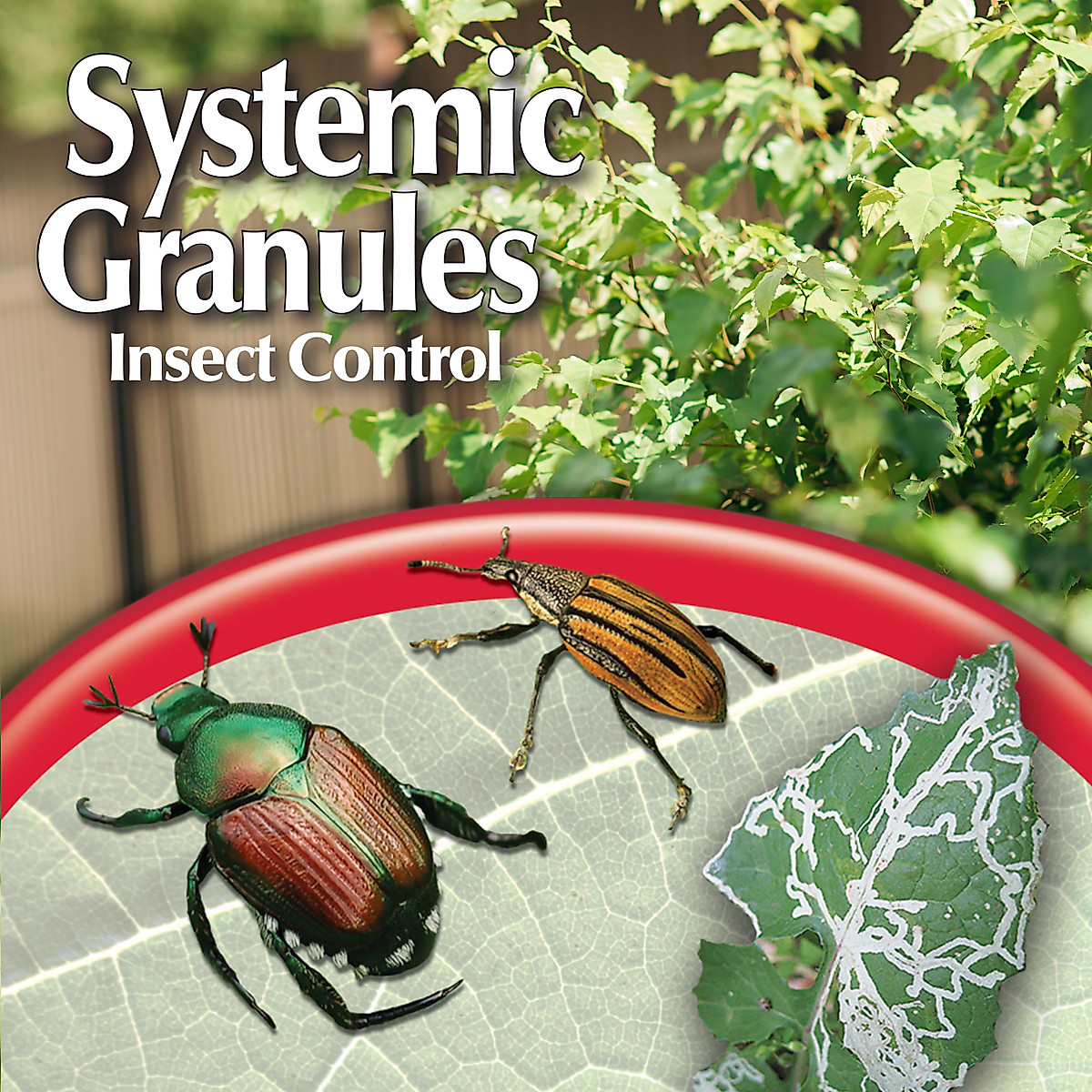 Bonide Insect Control Systemic Granules, 4 lbs. Ready-to-Use Water Resistant Long Lasting Protection Outdoor Use