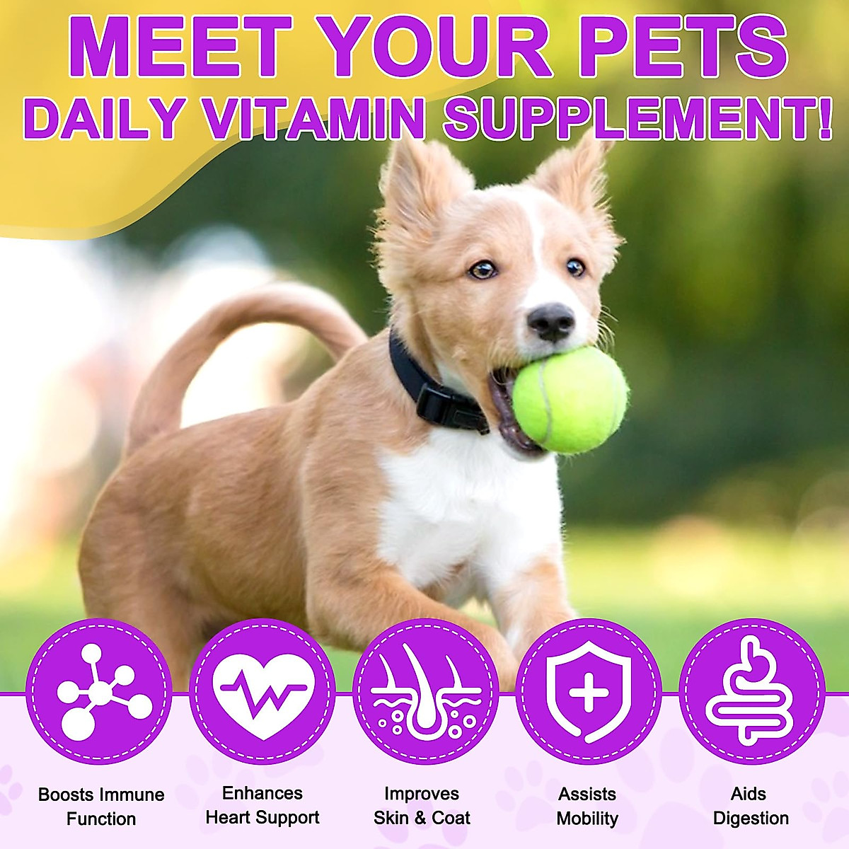 Dog Multivitamin Treats - 15 in 1 Multivitamin Tablets for Dogs with Glucosamine, Cranberry, Milk Thistle, Vitamins Supports Joint & Digestion, Skin & Coat - Peking Duck Flavor / 180 Chewable Tablets