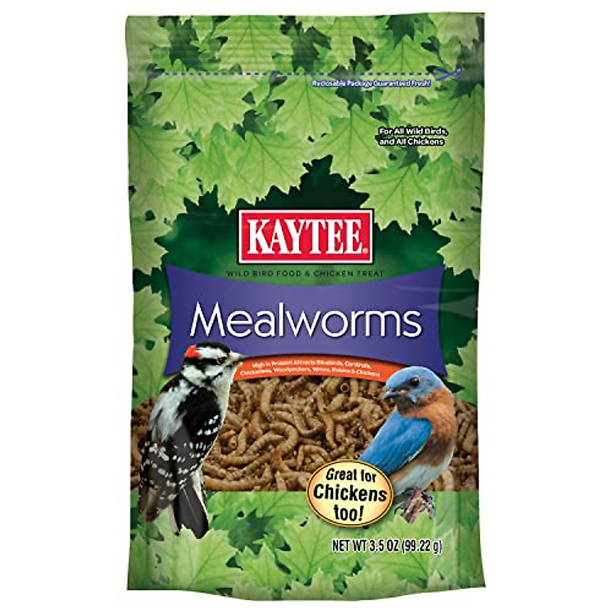Kaytee Wild Bird Food Mealworms For Bluebirds, Wrens, Robins, Chickadees, Woodpeckers, Cardinals & Chickens, 3.5 Ounce