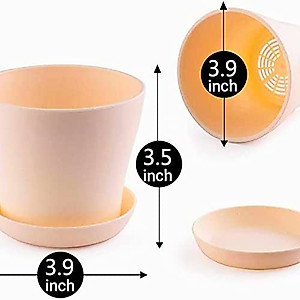 DORAKCI Bonsai Tree Kit - Gardening Gift for Men & Women - Bonsai Tree Growing Garden Crafts Hobby Kits for Adults - Room Decor - Bonsai Tree for Beginners - Crafts for Adults