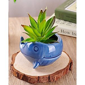 VanEnjoy 5" Ceramic Succulent Pot, Cute Ocean Blue Seashell Series, Conch Shaped Cactus Pot Planter, Flower Pot, Pottery Bonsai Pot (Dark Blue Whale)