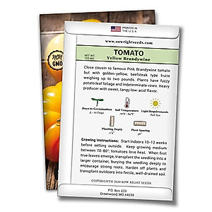 Sow Right Seeds - Yellow Brandywine Tomato Seeds for Planting - Non-GMO Heirloom Packet with Instructions to Plant a Home Vegetable Garden - Sunny Yellow Slicer with Sweet Flavor - Indeterminate (1)