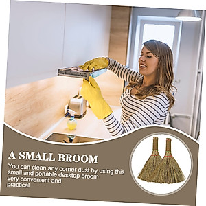 minkissy 10 Pcs Desktop Small Broom Miscanthus Small Broom Kitchen Desktop Cleaning Broom Kids Desks Broom Mini Desk Whisk Broom