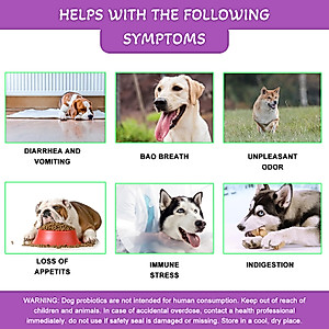 Probiotics for Dogs，Dog Probiotics and Digestive Enzymes，Health and Immune Support. Relieves Constipation, Bad Breath, Flatulence and Upset Stomach. Veterinarian Developed,120 Chews, Duck Flavor.