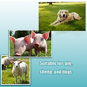 JZRYL Portable Veterinary Ultrasound Machine, 5.7 inch Home Ultrasound Farm Animals Pregnancy Dog Sheep & Pigs,Vet Handheld Sonogram Machine with 3.5Mhz Convex Probe