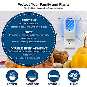 Fruit Fly Traps/Gnat Traps for Indoors, UV＆Blue Light Plug-in Gnats Killer Bug Trap, NAT Killer, Flying Insect Catcher Trap for Fruit Flies, Moths, Mosquitoes, Fungus, Get Rid of Gnat Infestation