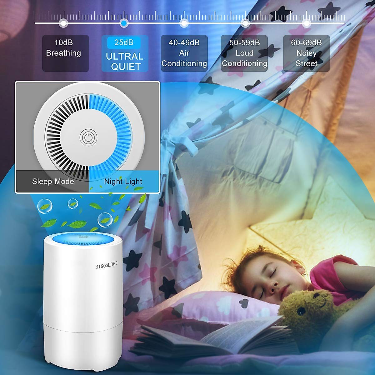 RIGOGLIOSO Portable Air Purifier,Air lonizer,USB Air Cleaner, True Hepa Homes Air Purifier Replacement Filter, Models GL2103/SY900S Filter