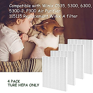 115115 Size 21 Replacement Filter A Compatible with Winix C535 C909, Winix PlasmaWave 5300, 6300, 5300-2, 6300-2, P300 Plasma wave Air Cleaner Purifier, True HEPA Filter Only 4 Pack