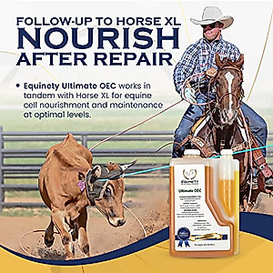 Ultimate OEC - Horse Omega 3 Supplement with Flax Seed Oil, Vitamin E Oil, and Colloidal Silver for Shiny Skin and Coat - Vet-Approved Horse Supplement for Immunity, Gut, Hoof & Bone Support