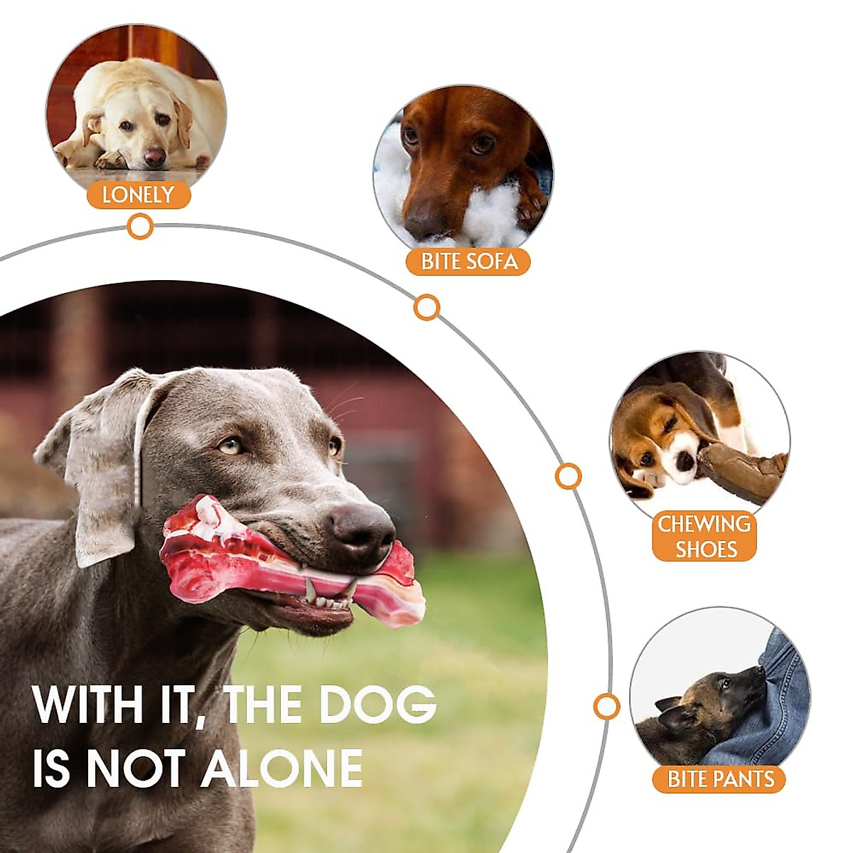 Chew Toys for Dogs. Durable and Safe for Dogs of All Ages and Sizes. Ensures Interactive Fun and Dental Care to Keep Your pet Healthy and Entertained.