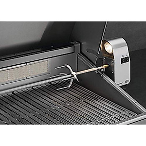 Dcs Professional 36-inch Built-in Propane Gas Grill With Rotisserie - Bh1-36r-l