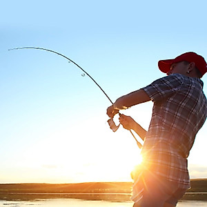 Cadence Essence Spinning Rod, Strong & Lightweight 24-Ton Graphite Rod, Stainless Steel Guides with SIC Inserts, Freshwater or Saltwater, Extremely Sensitive Spinning Rod (Essence 701S-MHF)