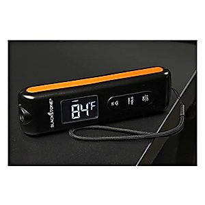 Blackstone Infrared Thermometer with Probe