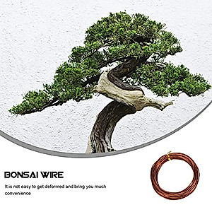 Happyyami 5 Rolls Bonsai Tool Set House Plants Indoors Live Bonsai Tree Training Wires Indoor Bonsai Tree Wire DIY Tools Small Trunks Training Wires Green Tie Branch Molding Line Aluminum