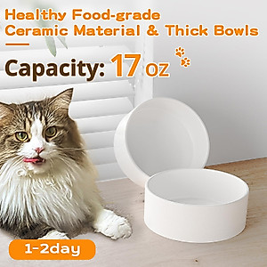 Oneluck Elevated Cat Bowl, Raised Ceramic Cat Dish,100% Waterproof Cat and Dog Bowls,15° Tilted Raised Stand Slip Resistant Raised Edges, Catch Water, Food Mess, No Spills,