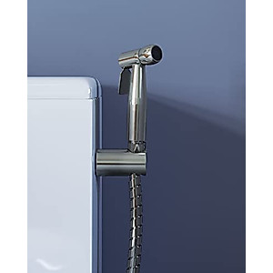Design House 588913-SS Modern Single-Function Dual-Mount Hand Held Bidet Sprayer for Bathroom, Stainless Steel
