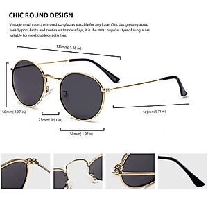 Htms Round Sunglasses for Men Vintage Retro Polarized Sun Glasses for Women Metal Frame Circle Shades