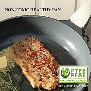 PRICUSIS Nonstick Ceramic Frying Pan, Non Toxic Nonstick Pan Skillet, Healthy Egg Pan Nonstick Omelet Pan Chef's Pan, PTFE PFOA & PFAS Free, Induction Compatible 8 Inch