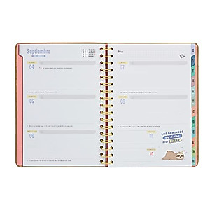 Mr. Wonderful, Wonder Planner 2023-2024 Weekly - Everything I'll Achieve