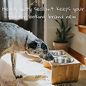 Pawfect Pets Elevated Dog Bowl Stand- 7" Raised Dog Bowl for Medium Dogs. Pet Feeder with Four Stainless Steel Bowls.