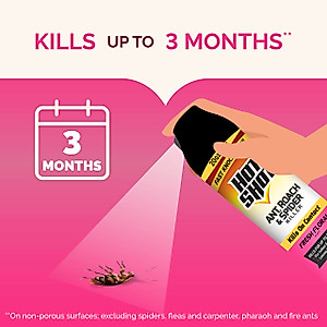 Hot Shot Ant, Roach, and Spider Killer, 20 oz, Fresh Floral Scent