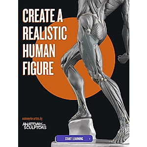Anatomy For Sculptors, Understanding the Human Figure
